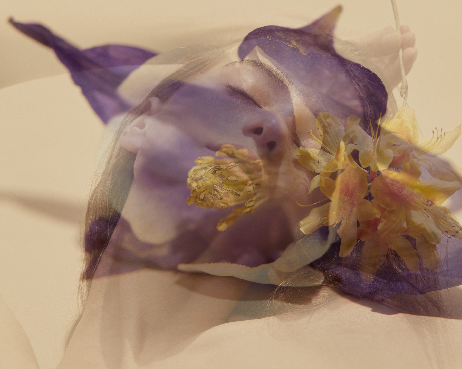 Portfolio | Claire Harrison Photography